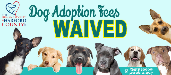 Collection of pet - The Humane Society of Harford County