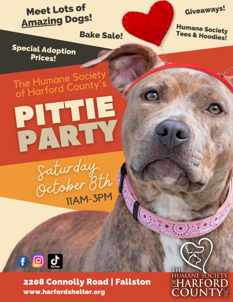 Pittie Party Adoption Fair at Humane Society of Harford County Set for ...