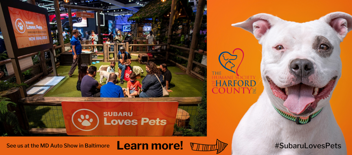 The Humane Society of Harford County - Harford County, MD