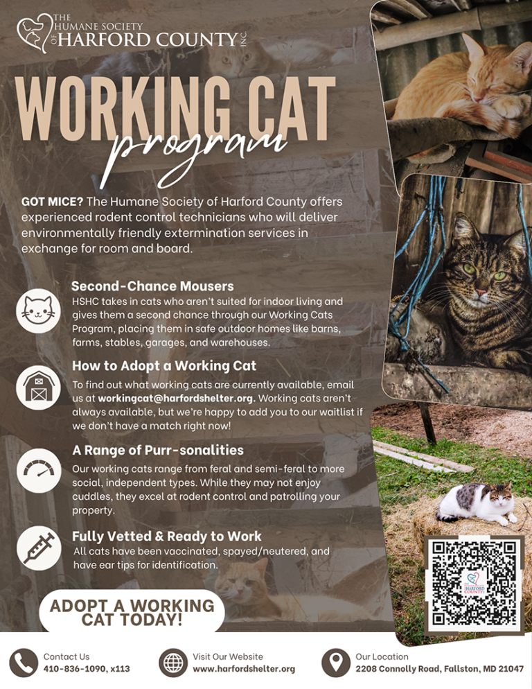Working Cat Program' Flyer - The Humane Society of Harford County